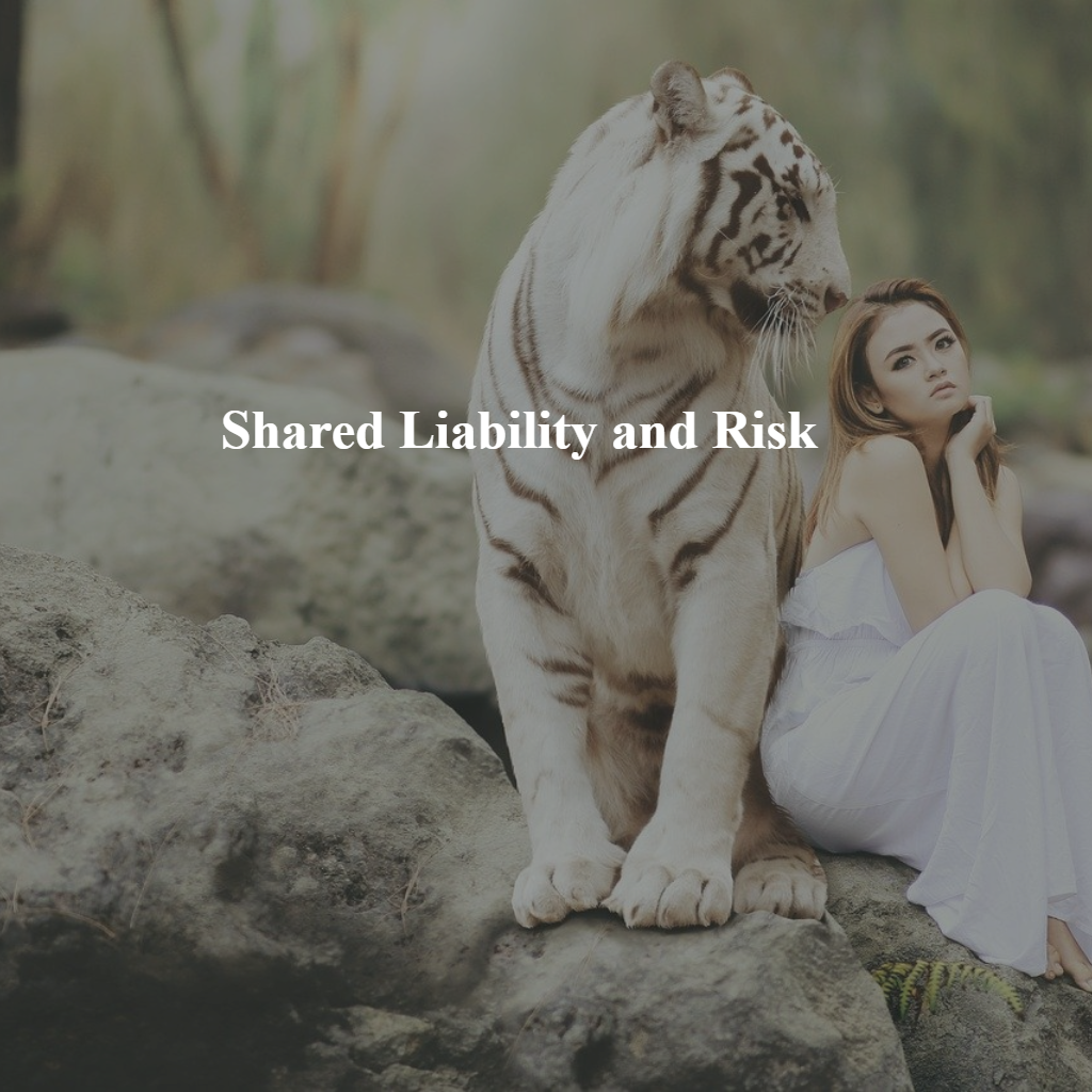 How a Professional Employer’s Association Helps a Small Business And a ...